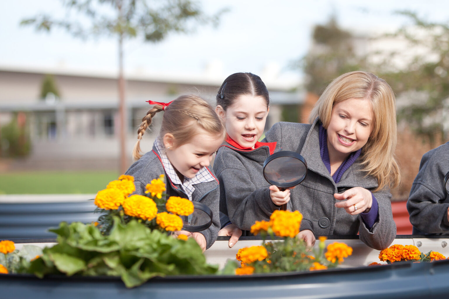 Mark Oliphant College | The future is now