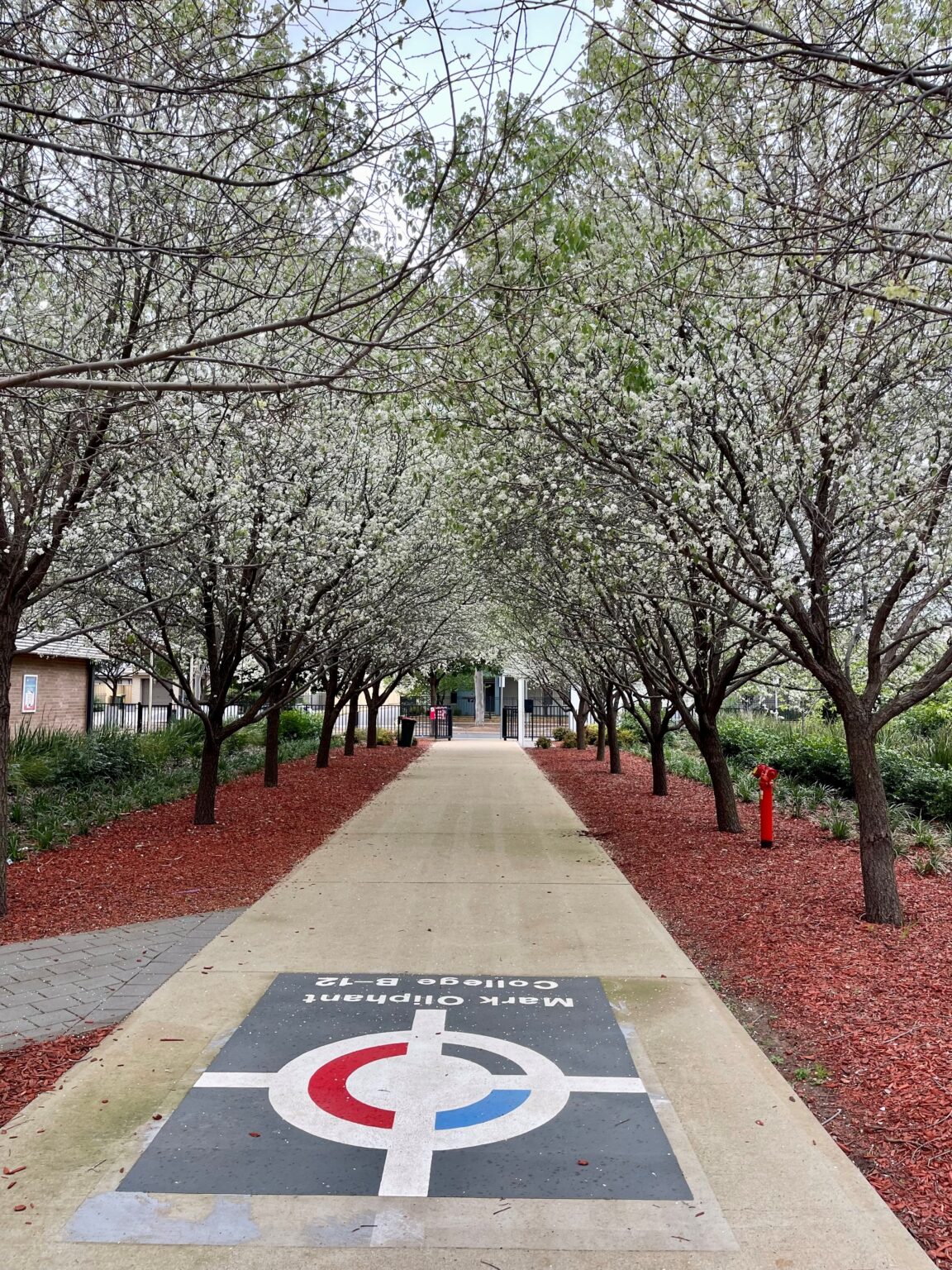 Our People | Mark Oliphant College